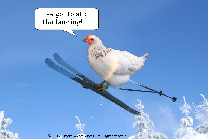 Sochi Roundup Report