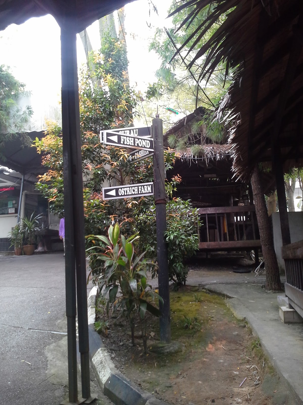 PUNCAK MUTIARA CAFE,KG PELET PENANG