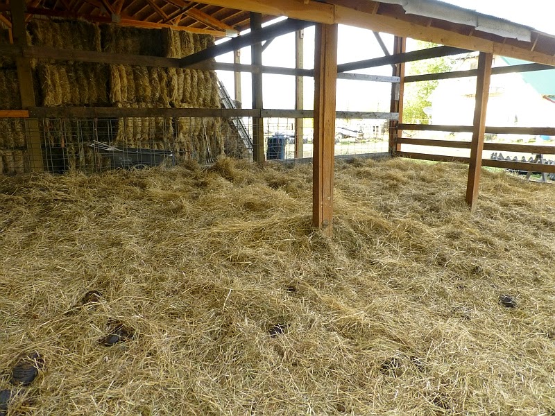 Rural Revolution: Building feed boxes