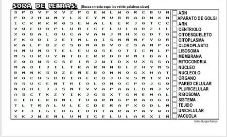 Biología: el maravilloso mundo de los seres vivos: Biología: El ...
