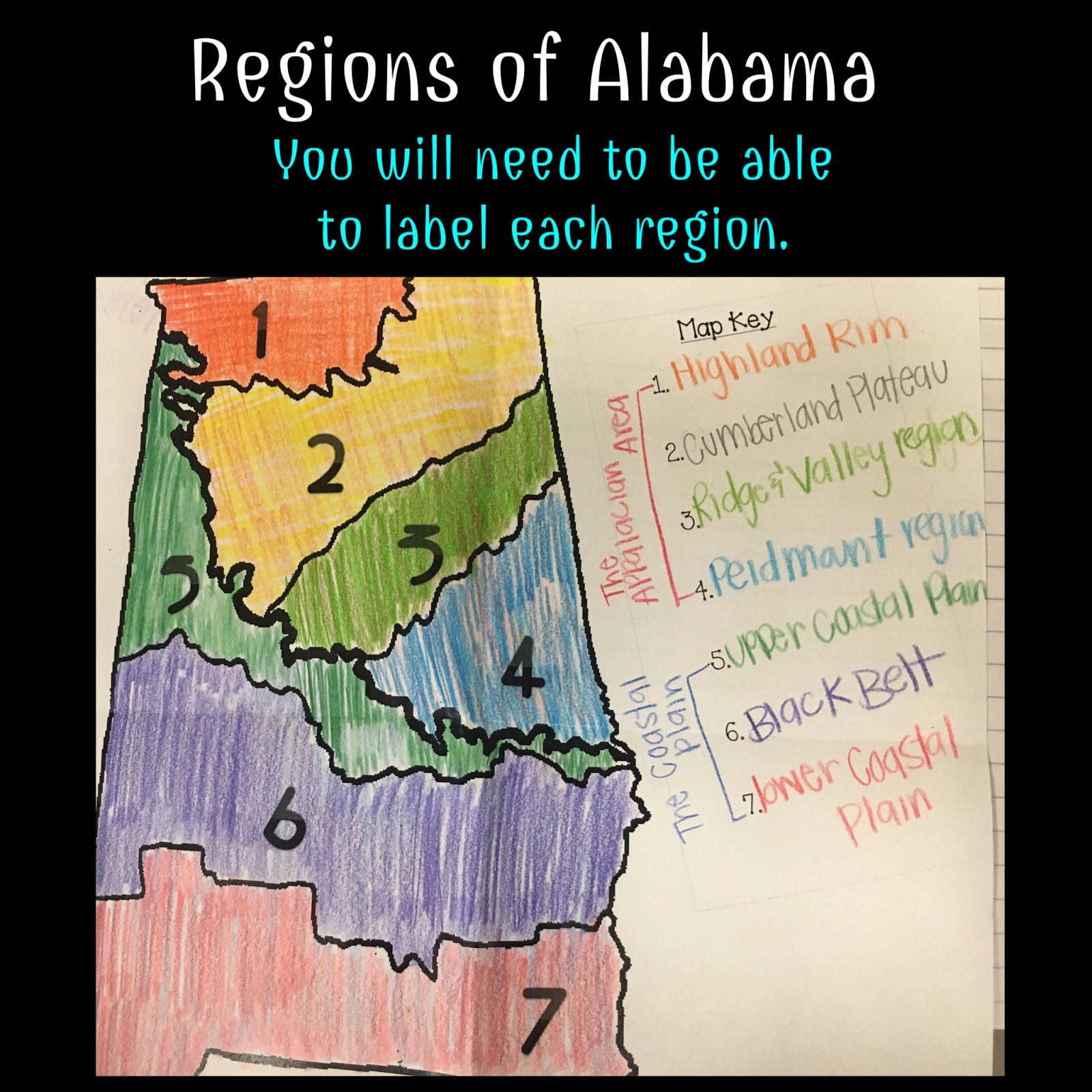 The Weston Times: Study for Your Quiz Tomorrow!