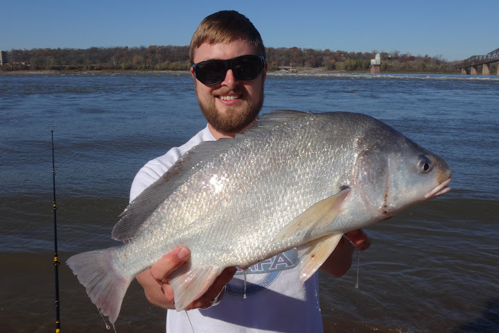 Ben Cantrell's fish species blog: Freshwater drum soup at the Chain of ...