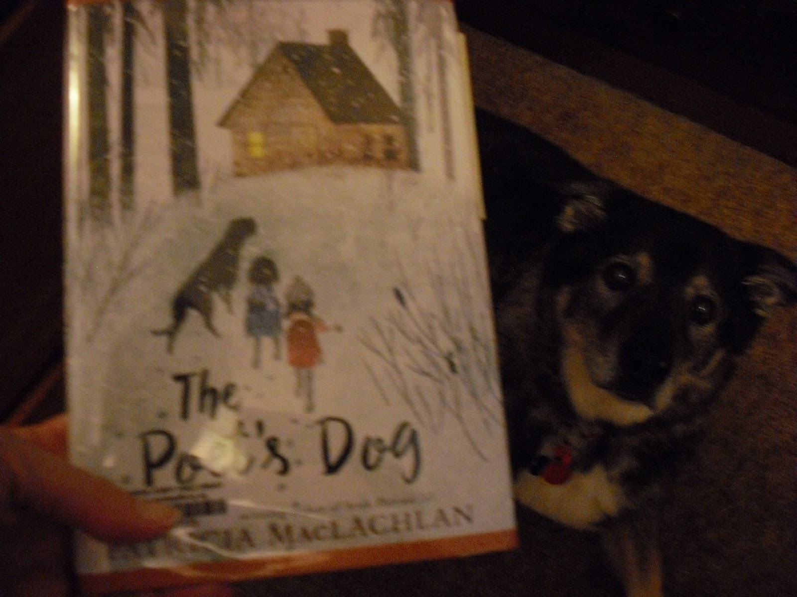 Grab A Book From Our Stack: "The Poet's Dog" by Patricia MacLachlan