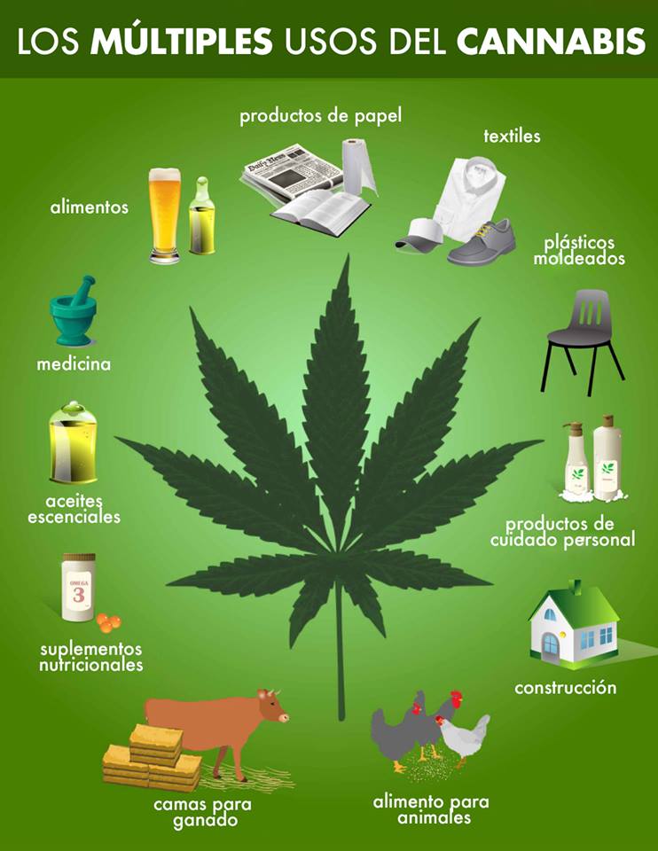 10 INCREÍBLES PROPIEDADES DE LA MARIHUANA COMPROBADAS POR LA MEDICINA 10 INCREÍBLES PROPIEDADES DE LA MARIHUANA COMPROBADAS POR LA MEDICINA