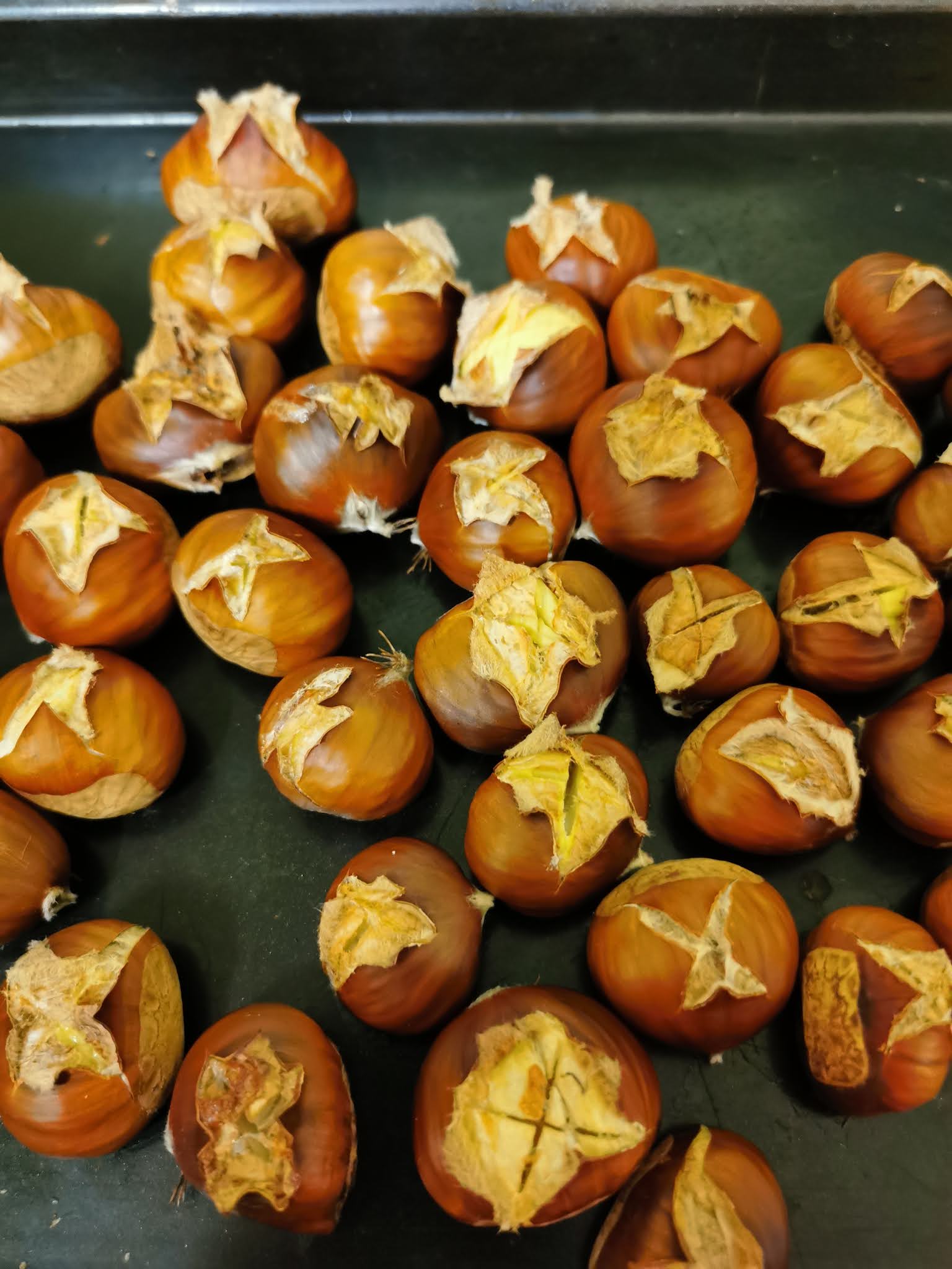 Mummy From The Heart: Foraging for Sweet Chestnuts in the UK