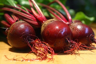 WHAT IS A BEETROOT |The Garden of Eaden