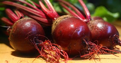 WHAT IS A BEETROOT |The Garden of Eaden