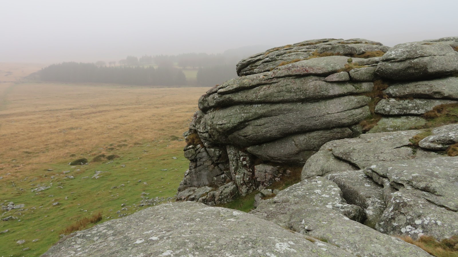 Max Piper - Tor Bagger: Dartmoor: The Tors and Rocks near Scorhill