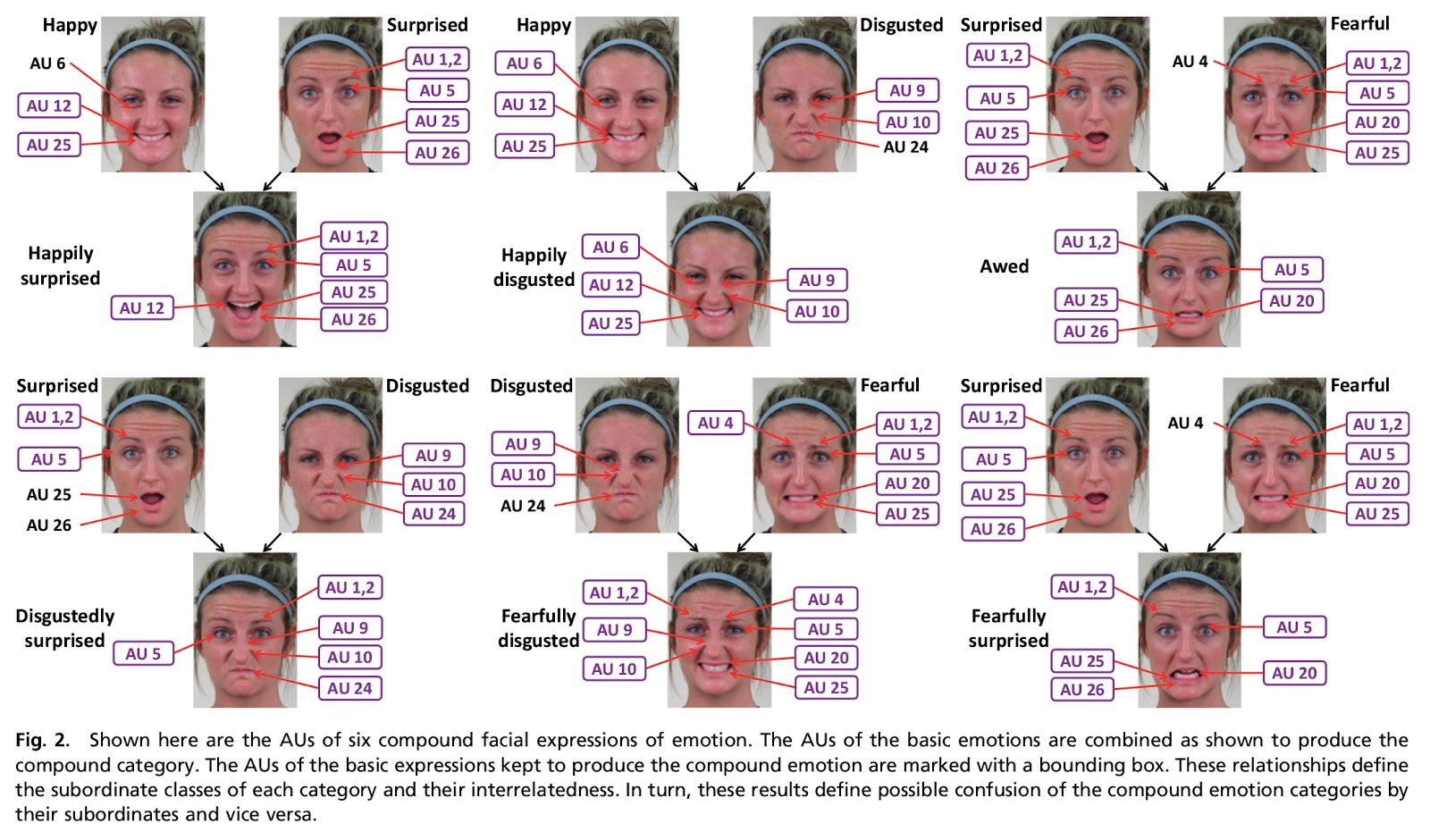 Masker onderzoek Sjoerd Schwibettus: 3. 'compound facial expressions of ...