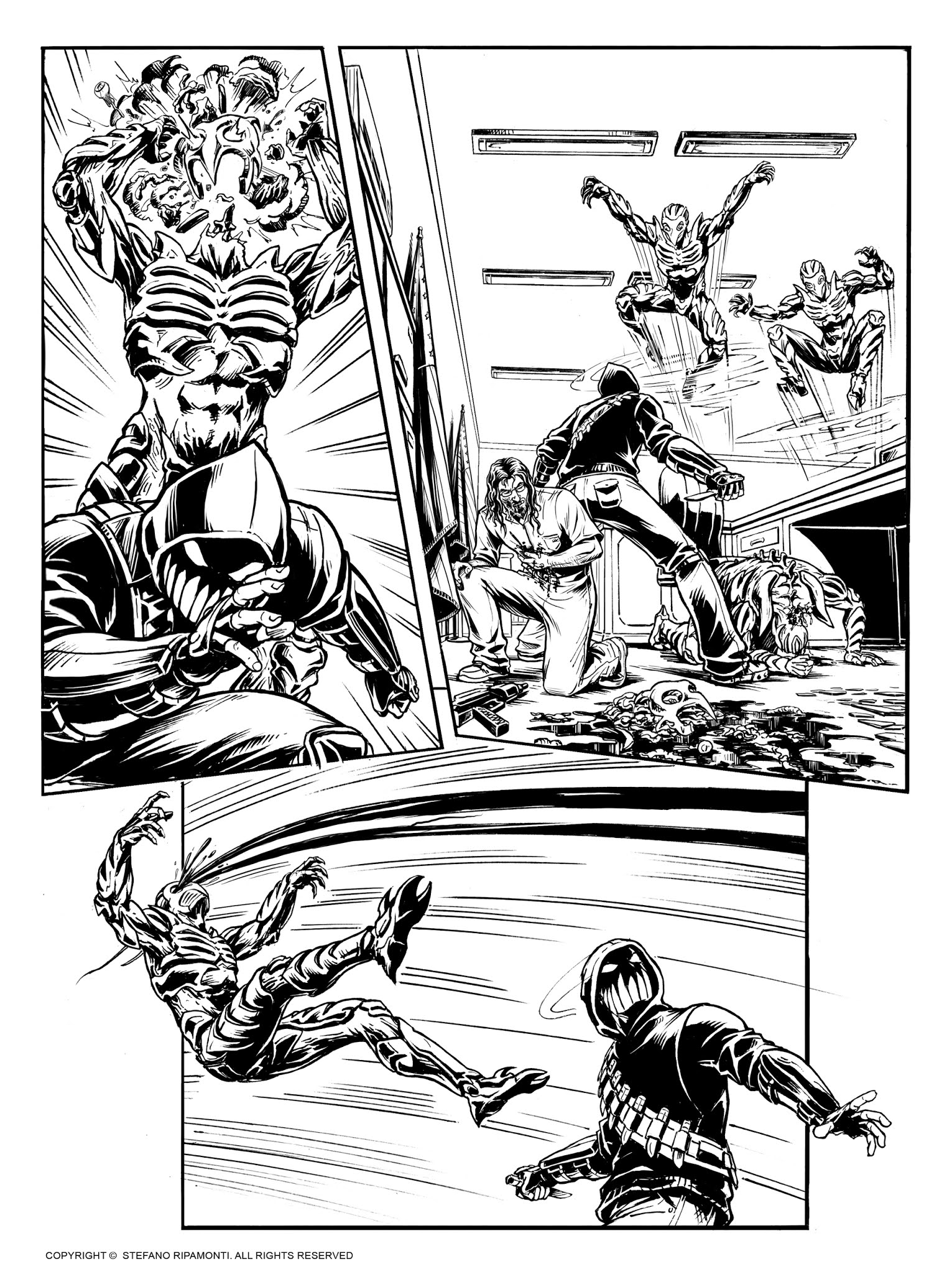 Stefano Ripamonti artworks