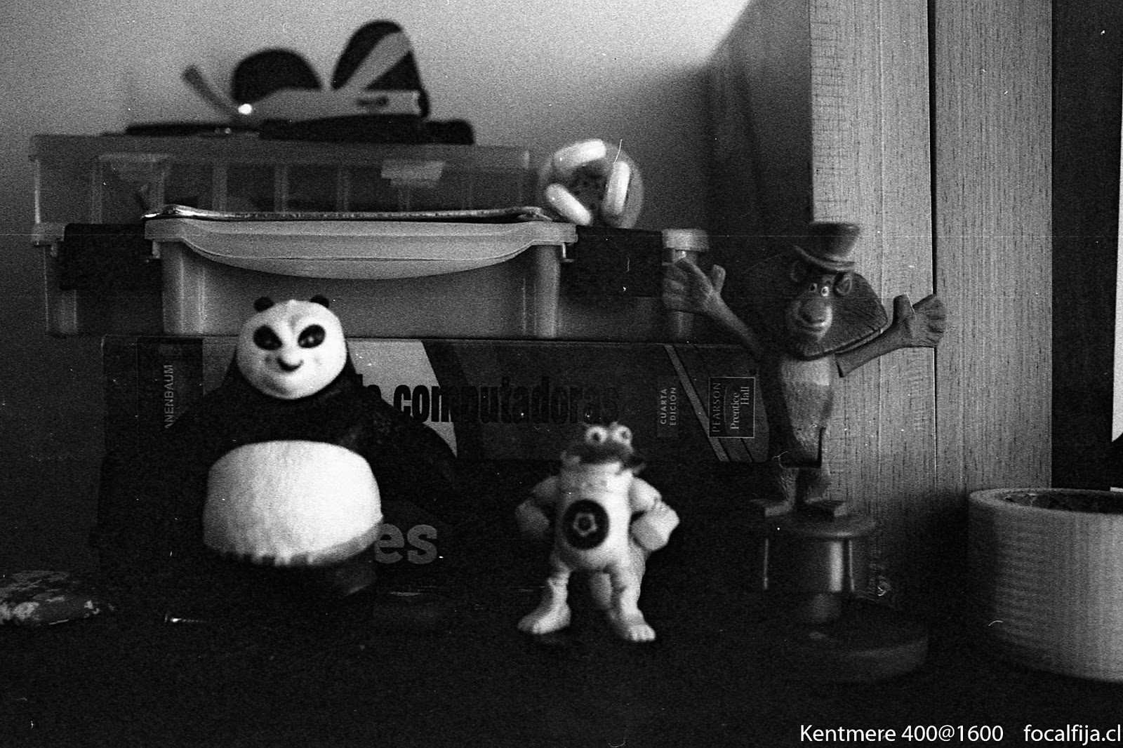 Kentmere 400 Push @800 @1600 @3200 Revelado con Rodinal
