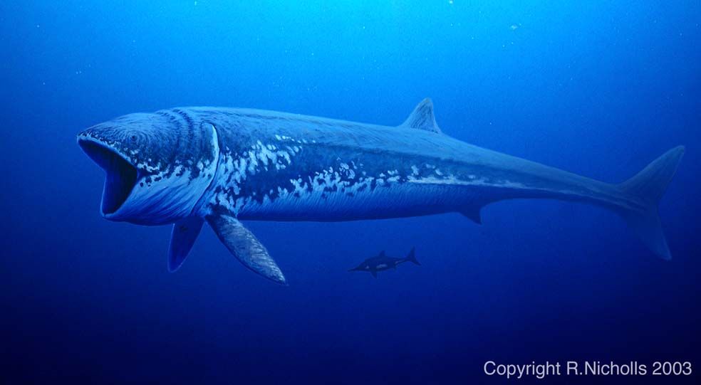 Escenarios prehistóricos: 08/21/11