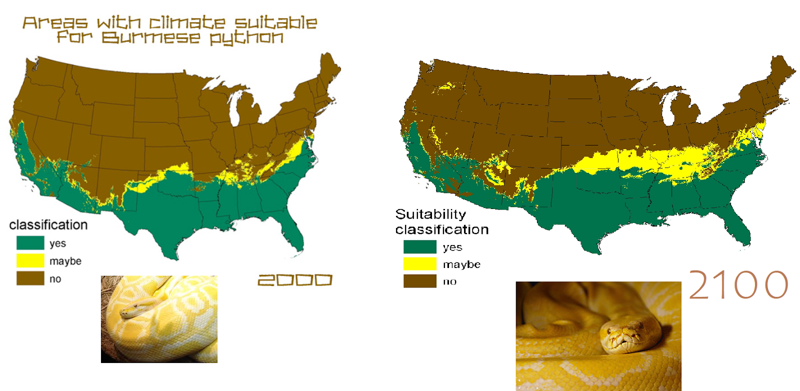 Effect of the climate change on the US habitat of Burmese python (2000 ...