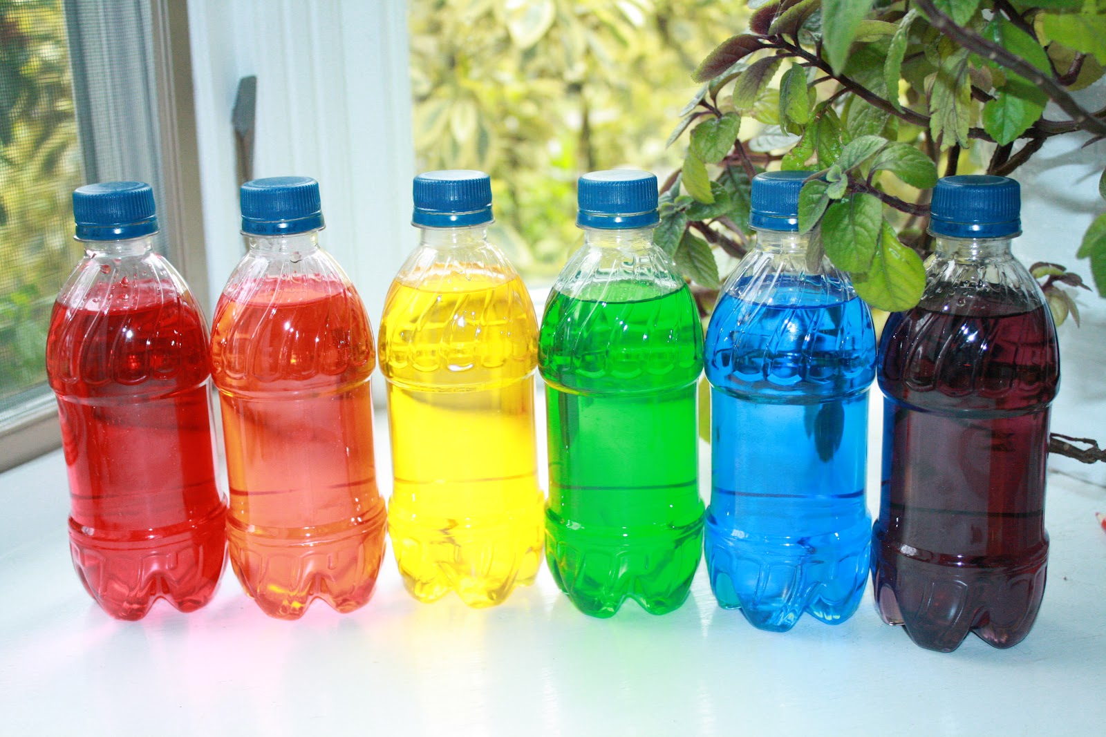 Naturally Curious: Making Rainbow Shaky Bottles