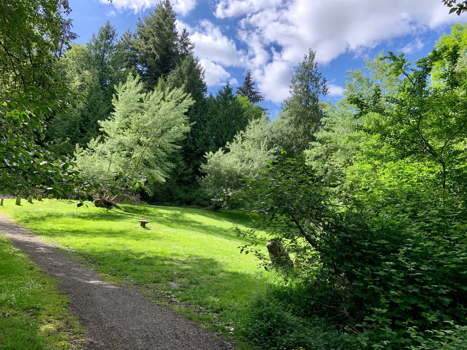 Shoreline Area News: Peaceful scene in Paramount Park Open Space