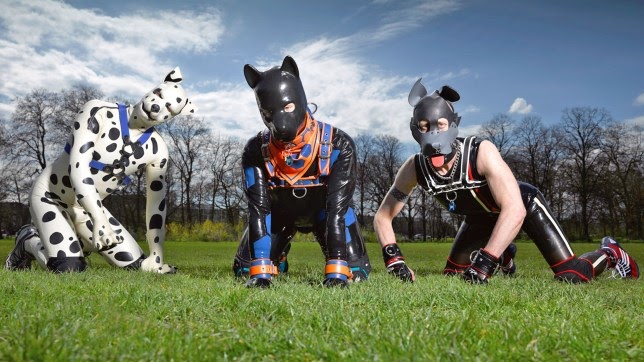 "Human dogs": the secret of the phenomenon of "human dogs" in Europe ...