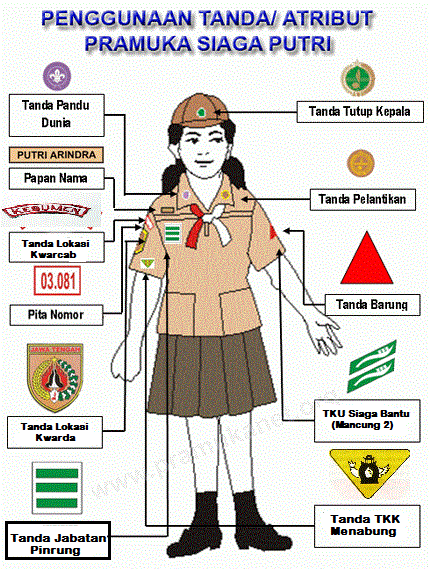 Penggunaan Atribut/Tanda Pramuka Siaga Putri - PJOK SD NEGERI KRUBUNGAN
