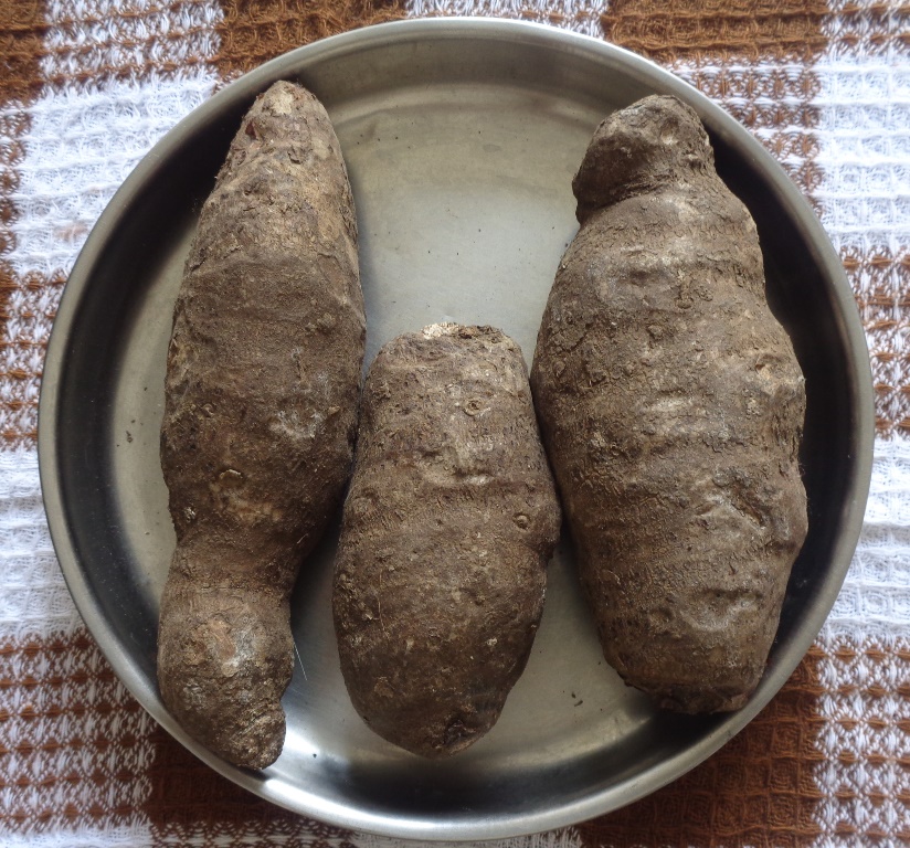 How to make pidi karunai puli kuzhambu by lk