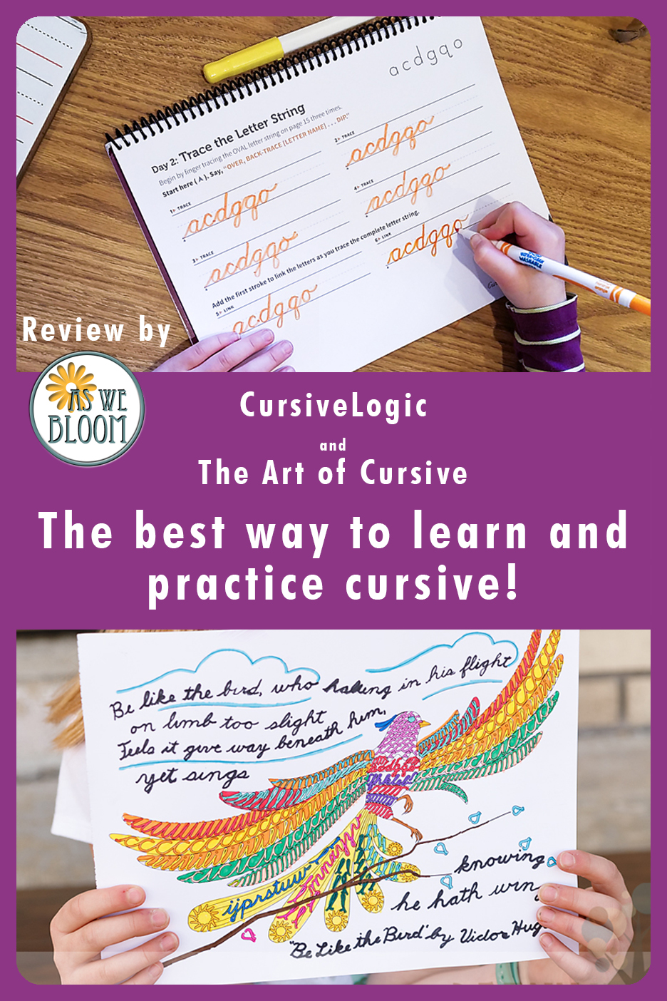 As We Bloom: CursiveLogic and The Art of Cursive Review