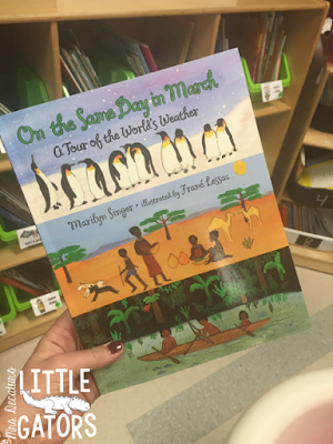 Mrs.Decatur's Little Gators