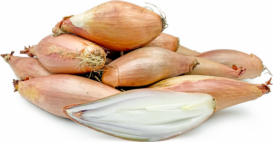 Behind the French Menu: Échalotes - Shallots. Shallots on French Menus ...