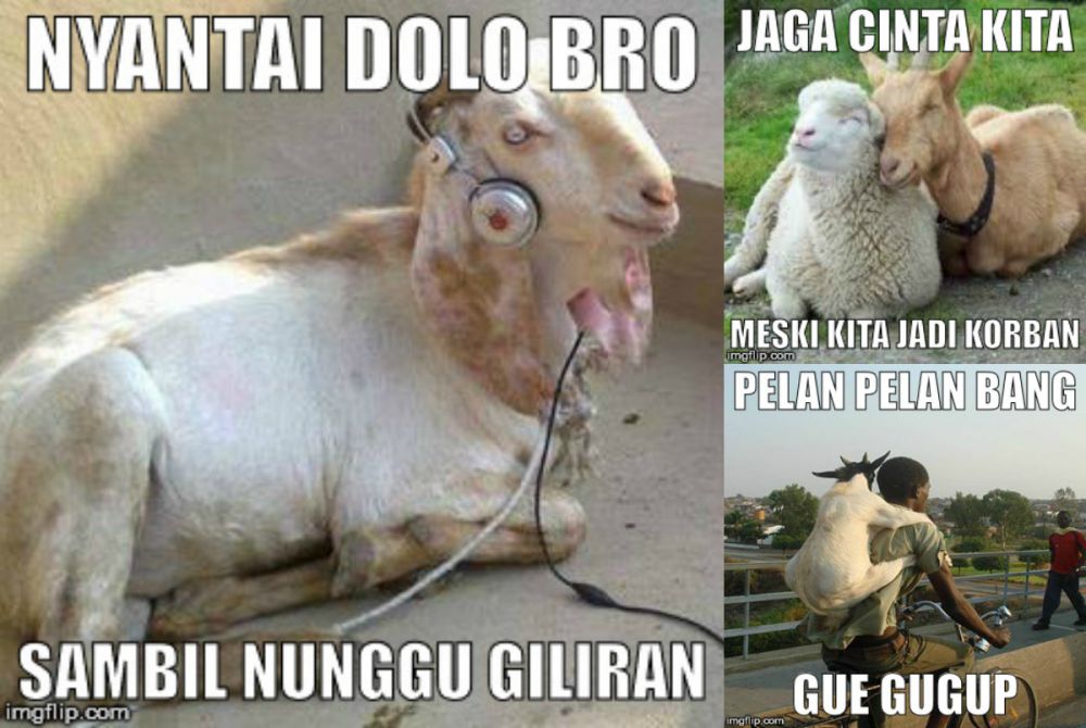 20 Meme 'Pesan Terakhir Kambing & Sapi' Ini Ceriakan Idul Adhamu
