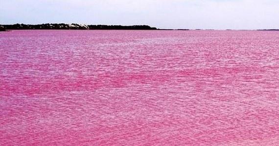 Lake Retba, Senegal | 20 Unbelievably beautiful places.