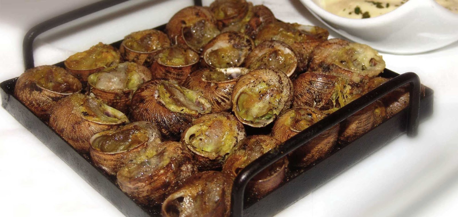 cargols de criança/caracoles de crianza: "Caragol de Lleida" a ...