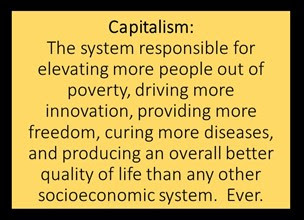 Pink's Politics: Is Capitalism the Real Problem?