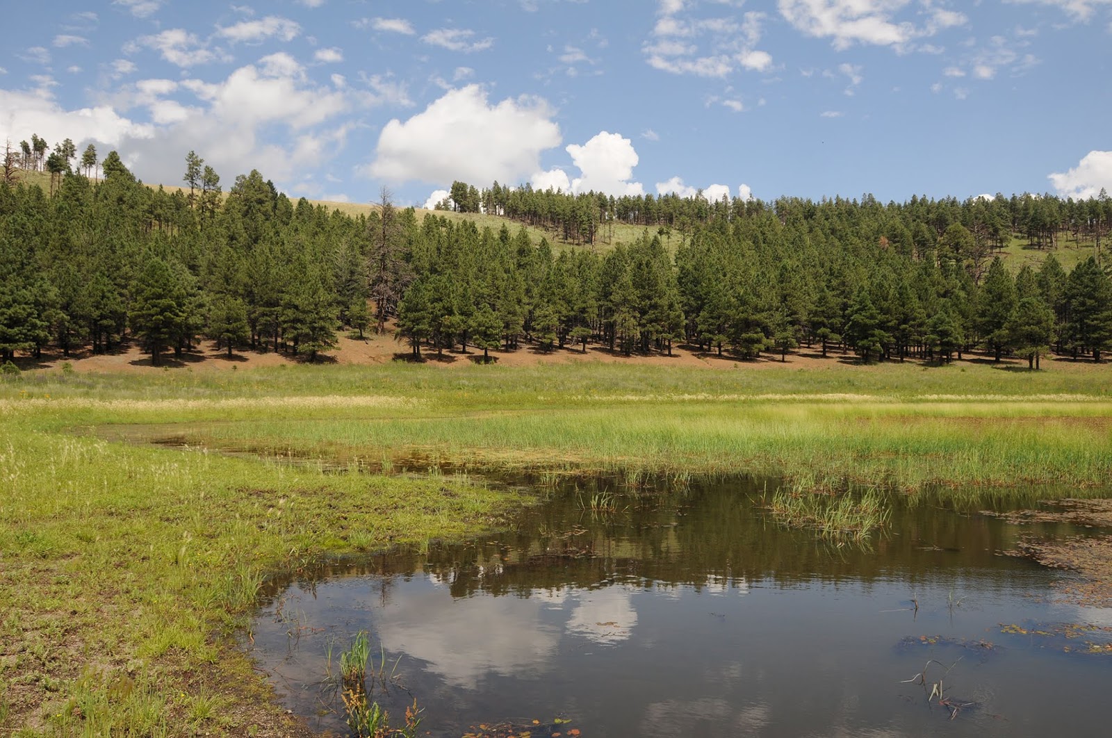 Arizona Hiking: WALKER LAKE