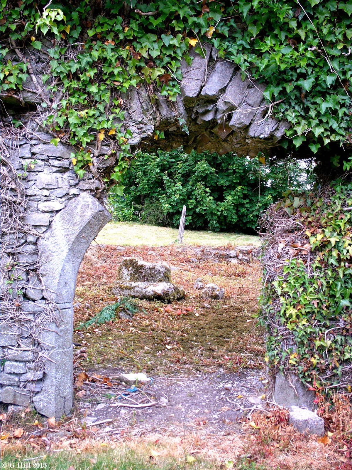 Ireland In Ruins: Old Harristown Church Co Kildare