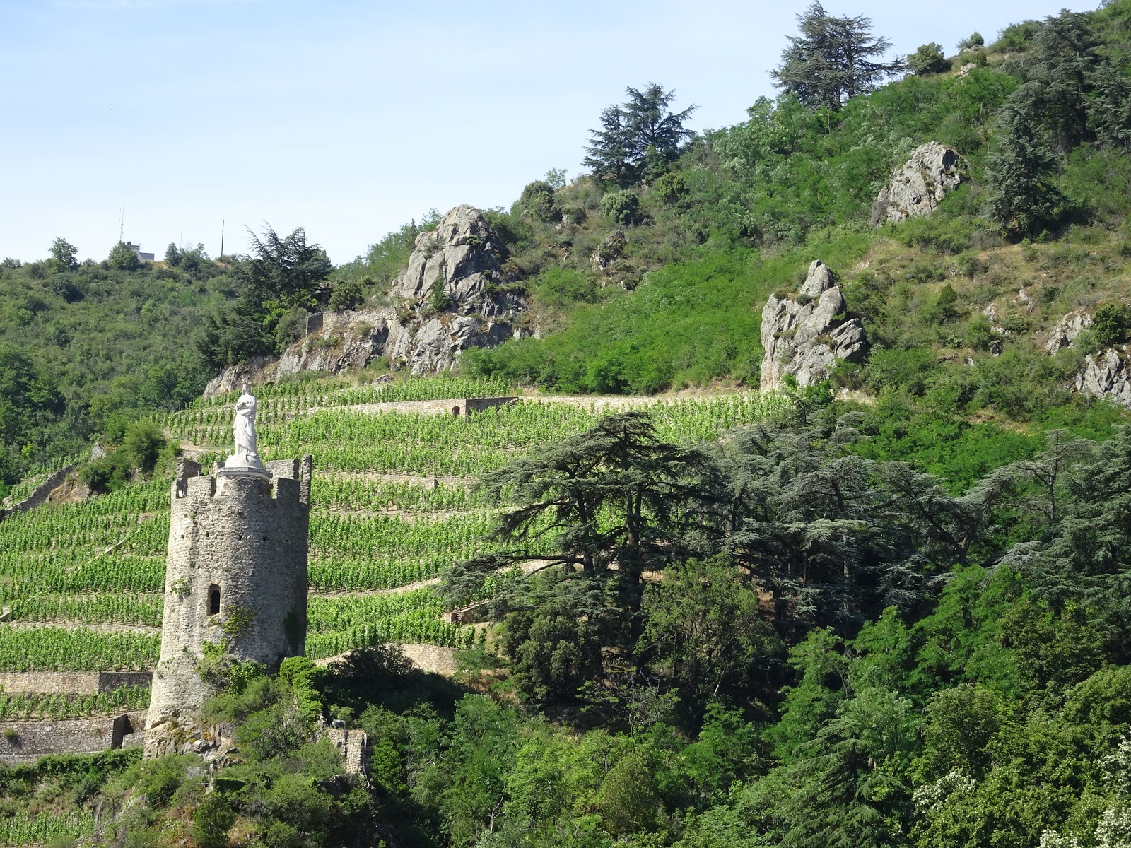 La Grande Tour: DAY 21 23 June Tournon - Viviers