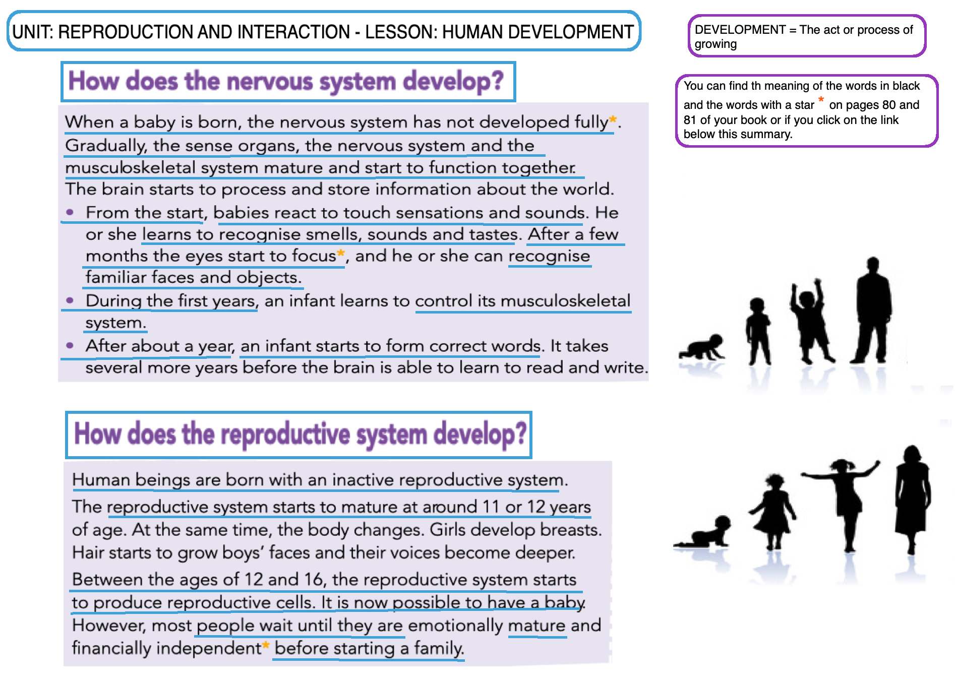 Blog de 4º de Primaria: NATURAL SCIENCE - YEAR 4 - UNIT: INTERACTION ...
