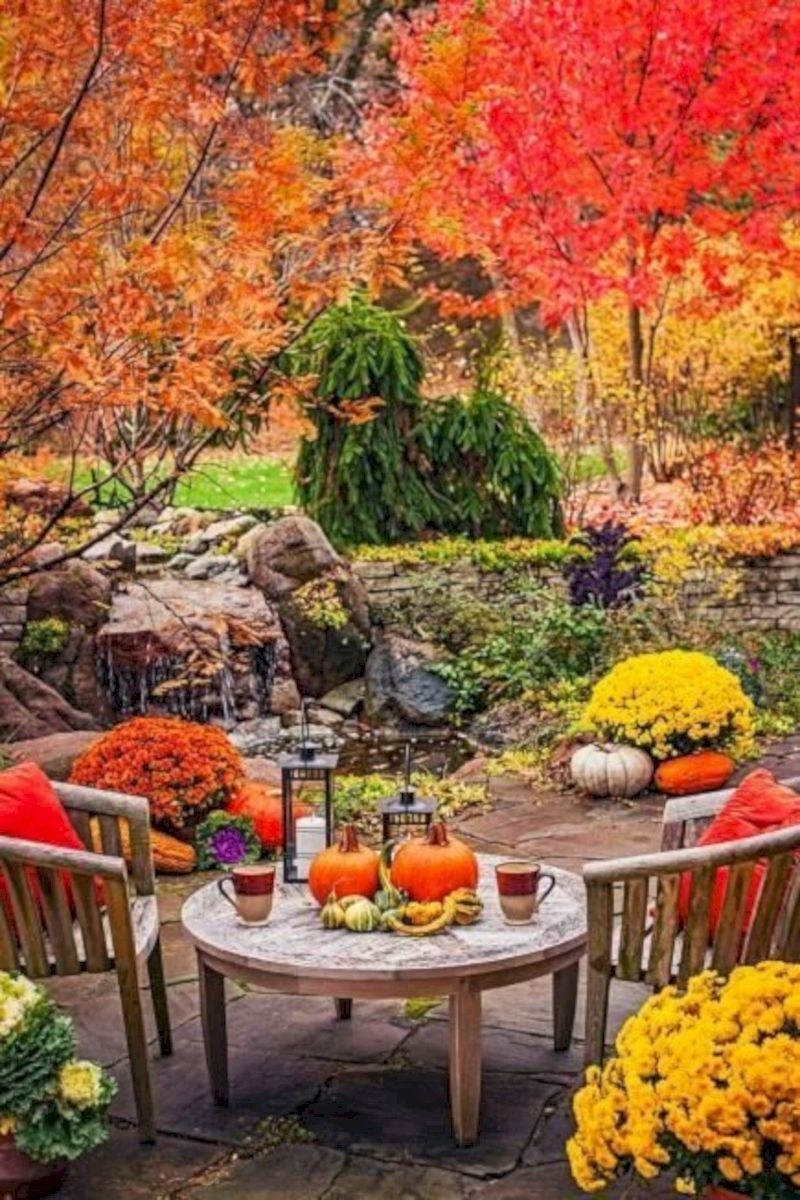 40 Trending Fall Garden Design to Copyright in Month Now | ARA HOME