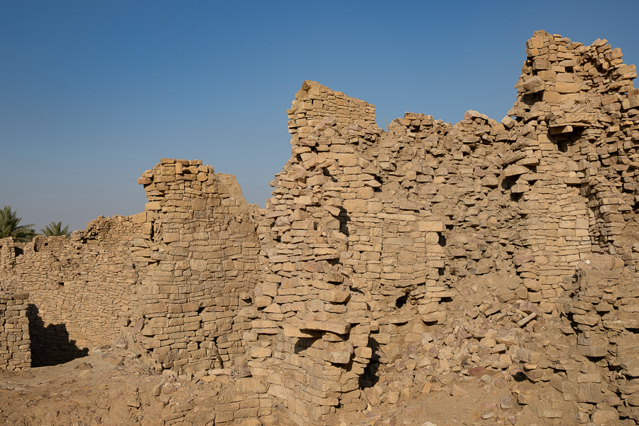 Birds of Saudi Arabia: Dumat Al-Jandal Wells - Dumat Al-Jandal