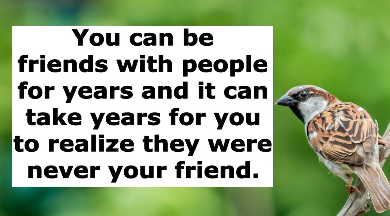 A sweet friendship refreshes the soul - Proverbs 27:7