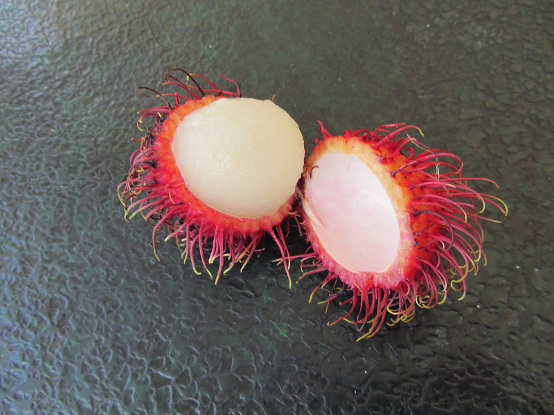 Mystery Fruit: Rambutan (Or Eye Ball Fruit), Tasting Strange Things and ...