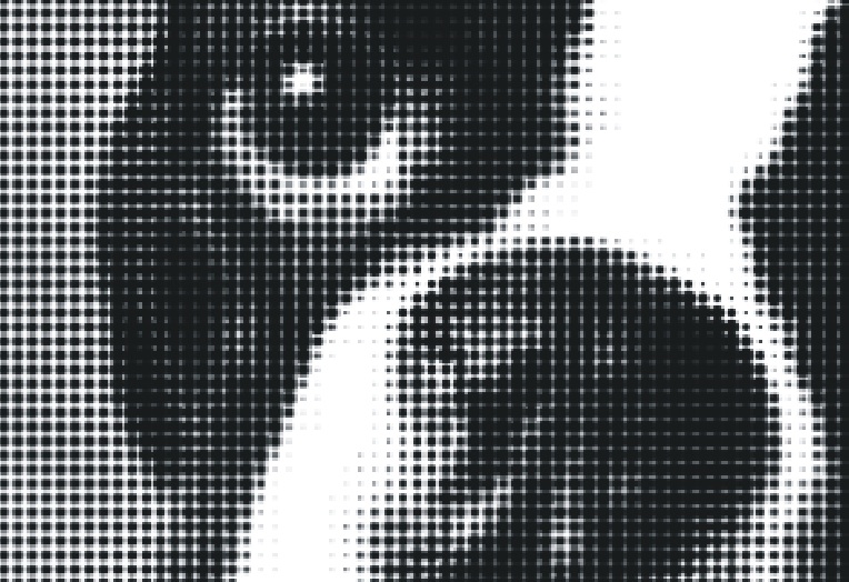 Flexototal: O que são retículas?