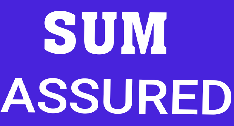 Uzochukwu Mike's Zone: Sum Assured of Insurance Policies: Overview ...