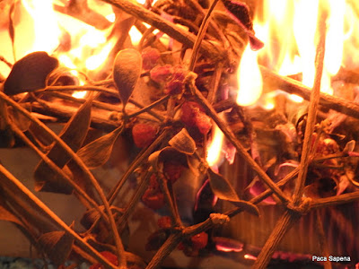 La Rioja de la A a la Z: QUEMANDO EL MUÉRDAGO DEL 2018