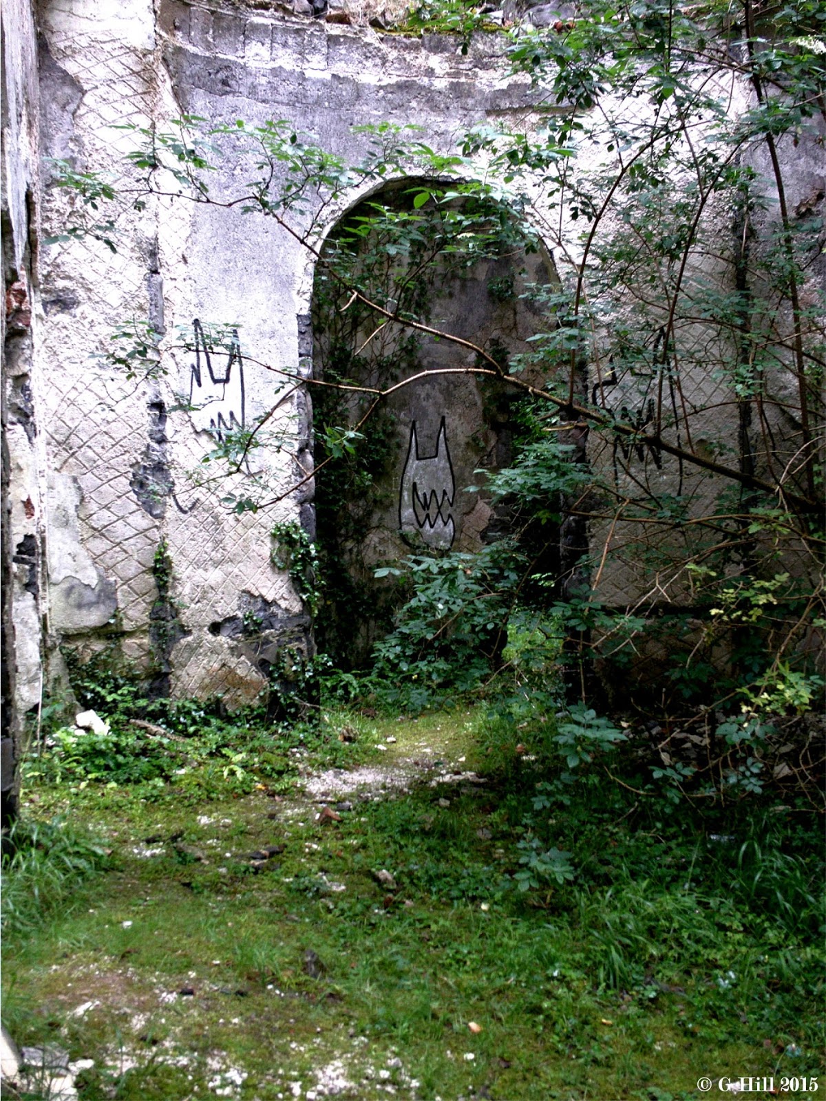 Ireland In Ruins: Moore Hall Co Mayo
