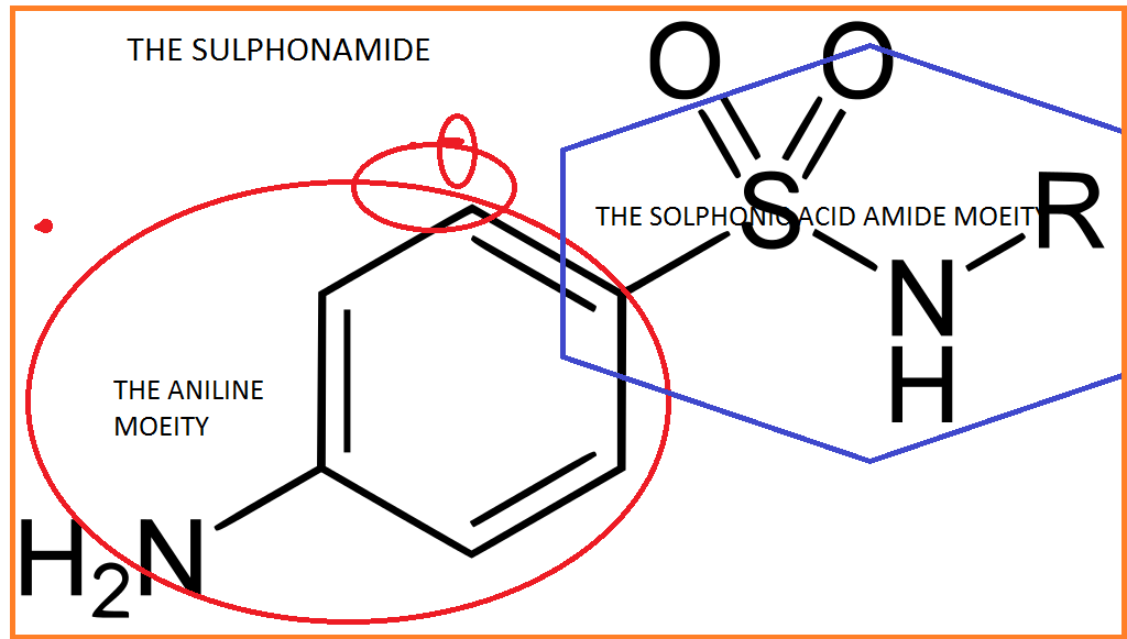 THE SULPHONAMIDE