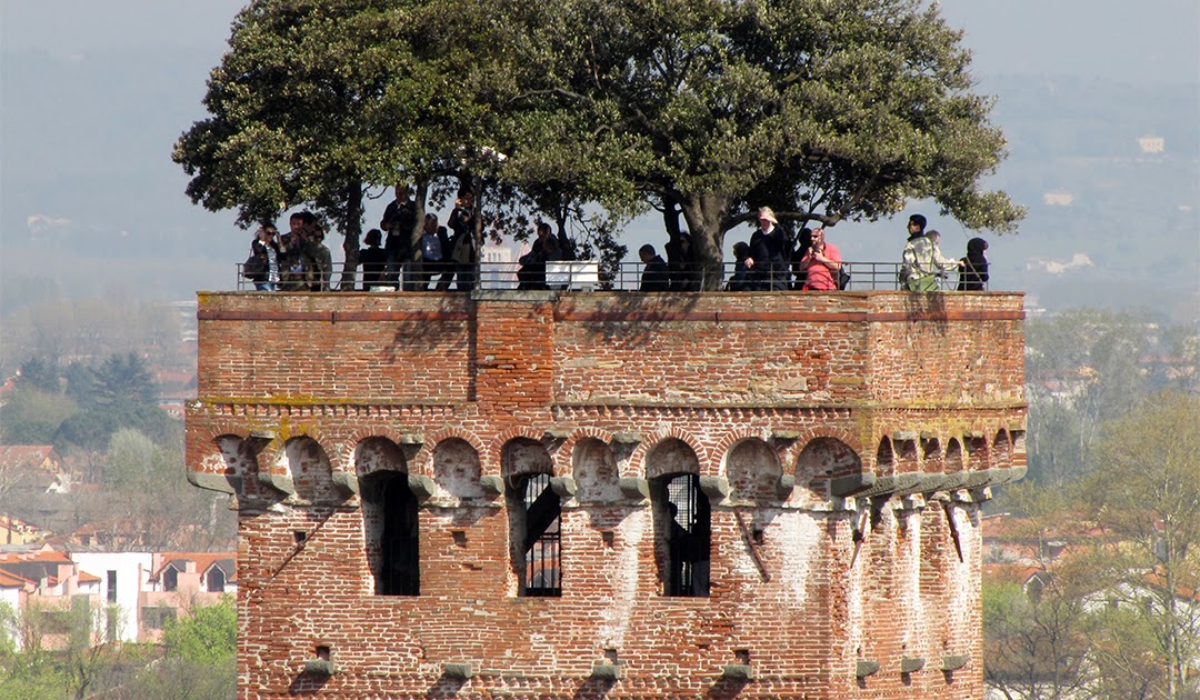 Daily Photo Stream: Guinigi Tower