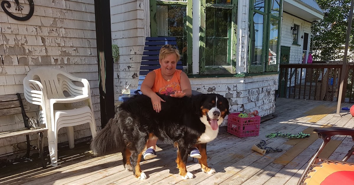 Maximus Handsomius (Max): 17/Sep/18 this is my favorite human, I'm ...