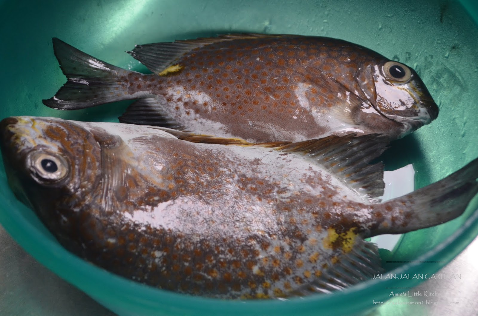 Jalan-Jalan Cari Ikan - Amie's Little Kitchen