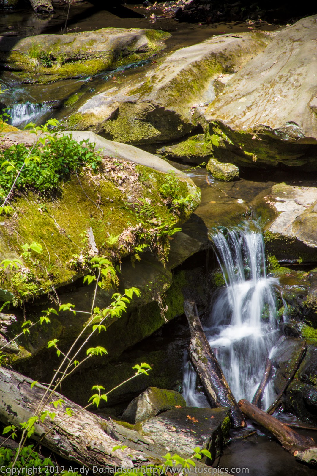 Welcome to the blog of Andy Donaldson Photography: Dundee Falls