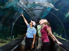 Marine Parks Tour: SeaWorld Indonesia