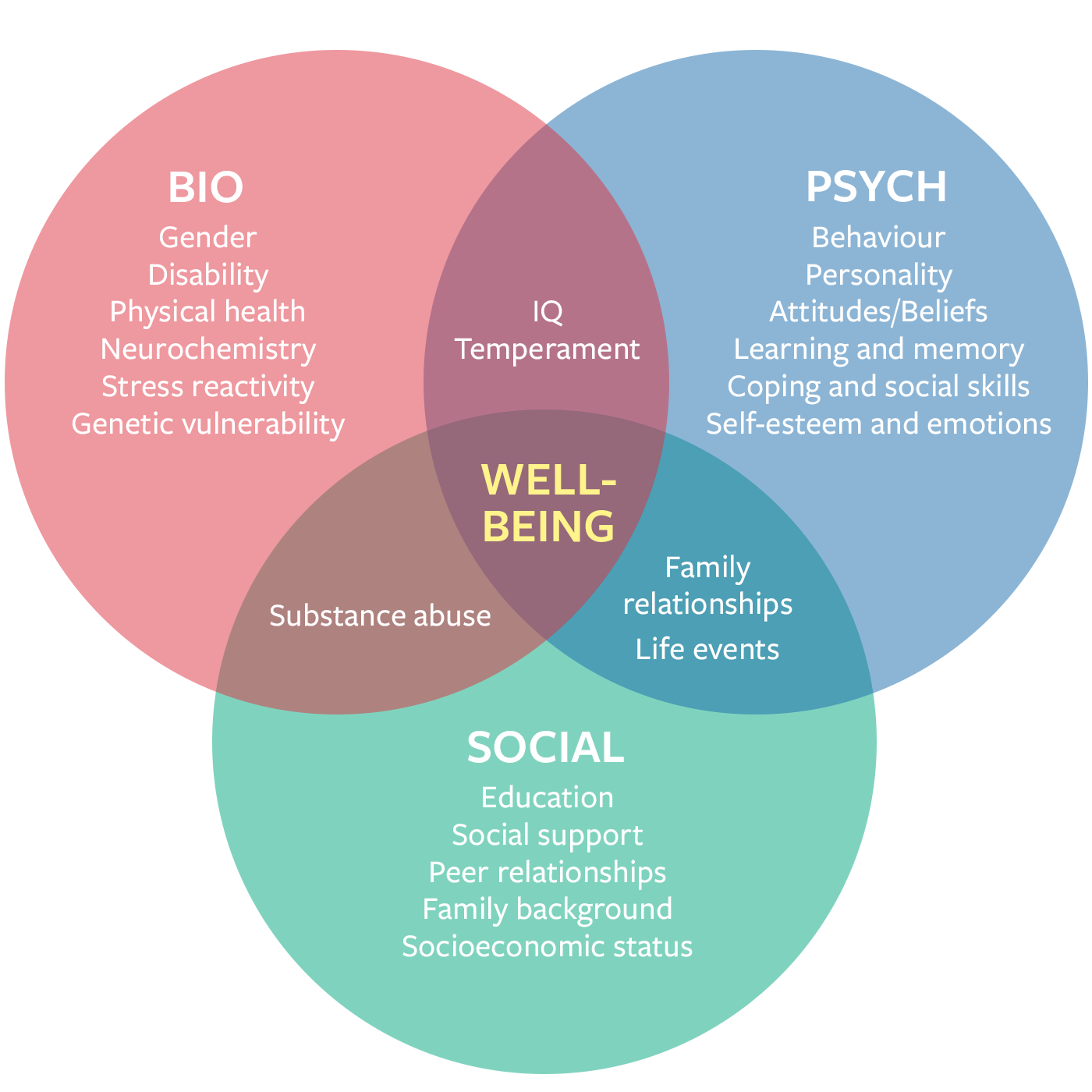 THE BIOPSYCHOSOCIAL HEALTH PARADIGM: THE LENS THROUGH WHICH MEDICINE IS ...