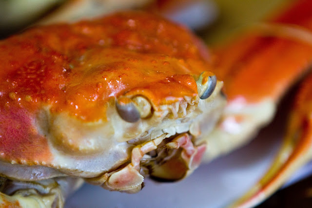 ...FnF Simple Life...: Besar nye ketam jepun