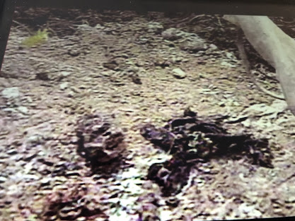 Proyecto Pablo Escobar: Muerte de Moncada y Galeano